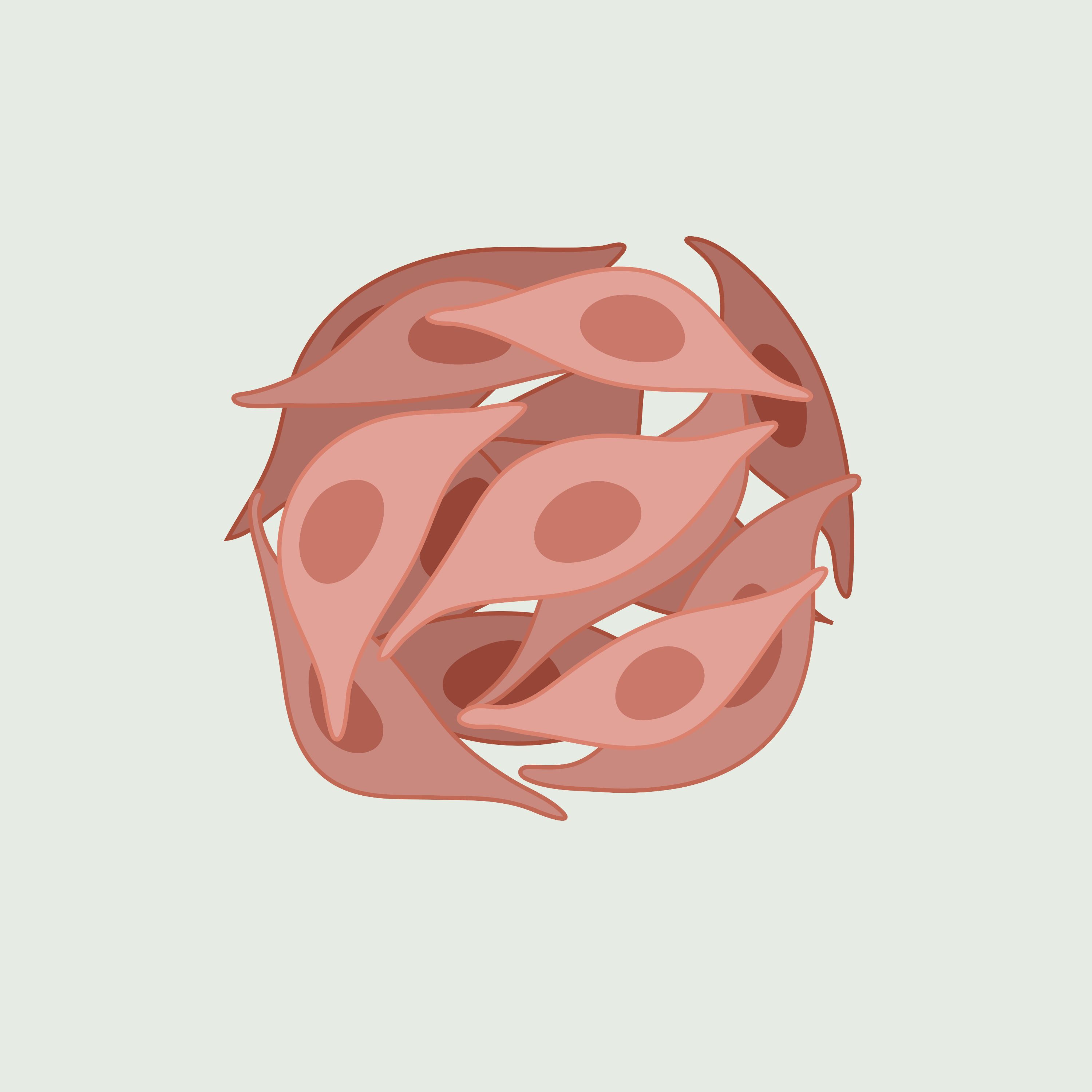 CANCER CELL Probe - SENPRO