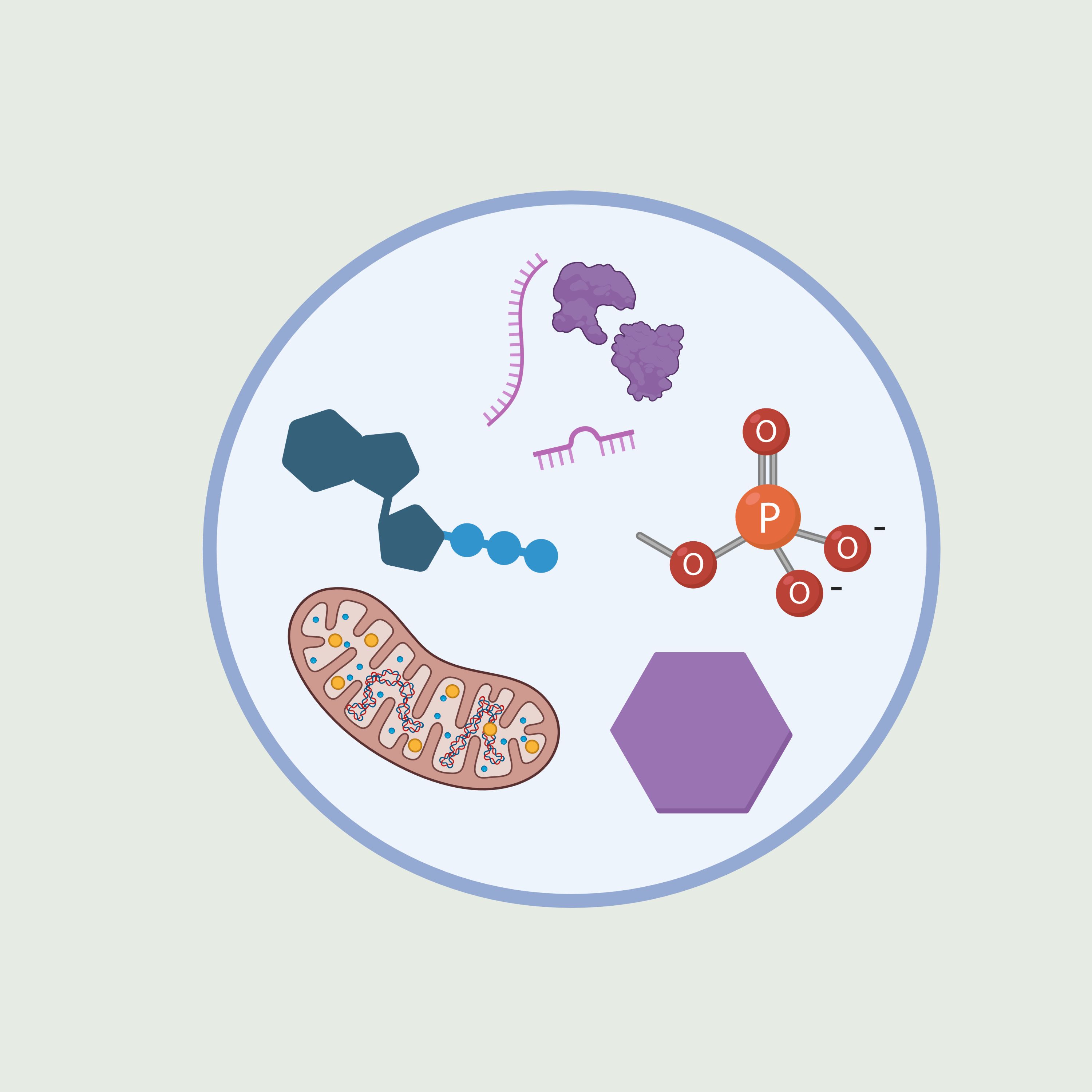 metabolite probe - SENPRO